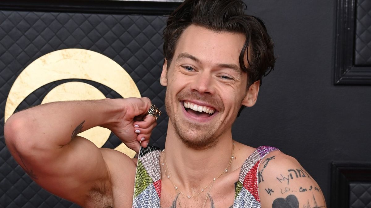 Harry Styles: Zpěvák One Direction se stal hvězdou